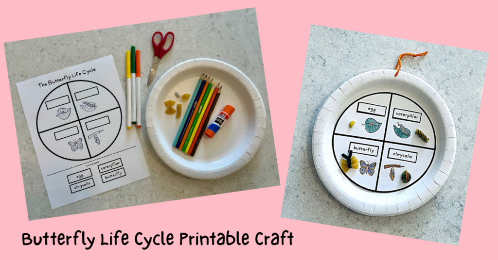 Raising Butterflies with Preschoolers